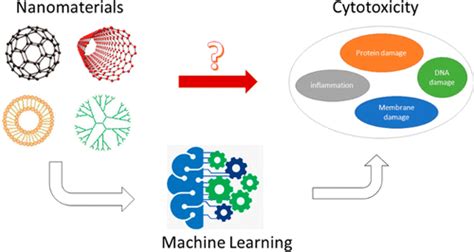 预测纳米材料细胞毒性的机器学习模型 chemical research in toxicology x mol