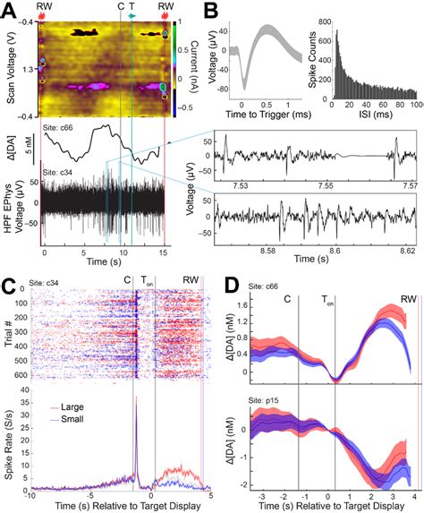 Analysis Of Task Modulated Signaling From Concurrent Recordings Of