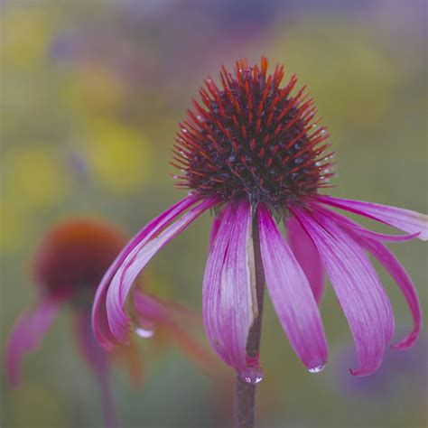 October By Valentin Gavrilov 500px