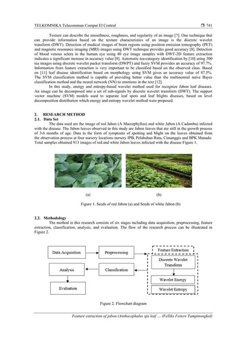 feature extraction of jabon anthocephalus sp leaf disease using