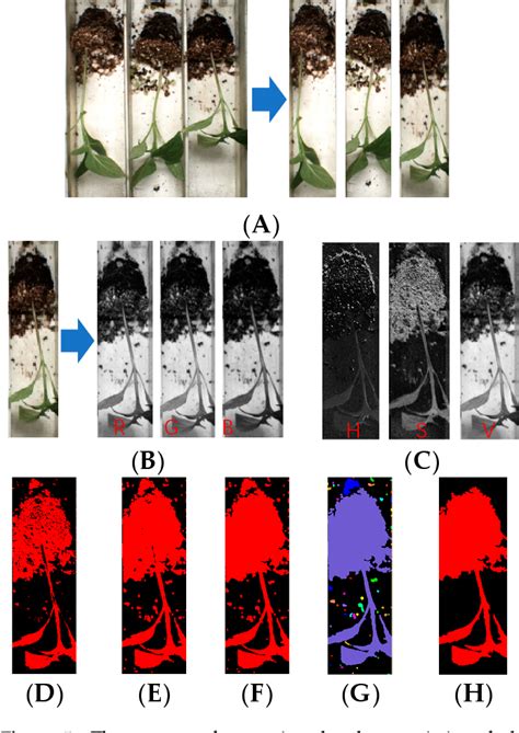 Figure 5 From Design Of And Experiment With Seedling Selection System For Automatic Transplanter