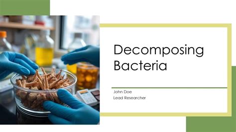 Decomposing Bacteria Ppt Information Acp Ppt Example
