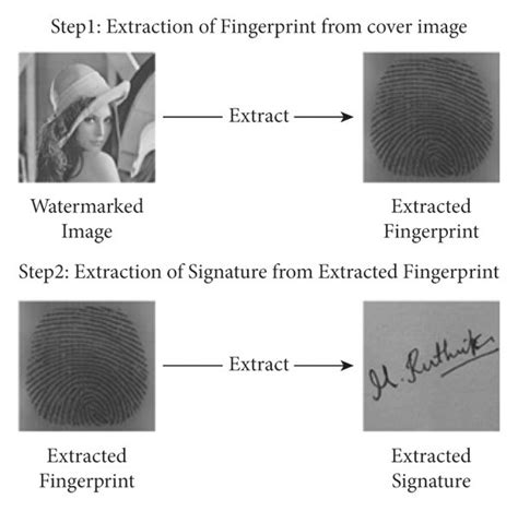 Extraction Process Of The Watermark Image Download Scientific Diagram