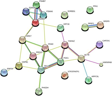Ppi Using String Biocode