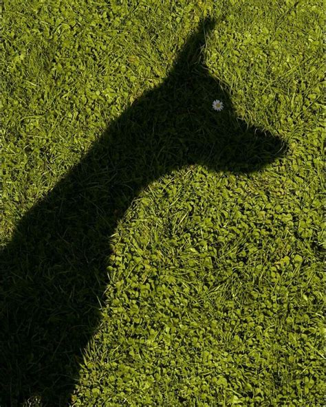 Here Are 50 Of The Most Interesting Images Selected By This Instagram