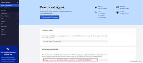 ngrok免费实现内网穿透 ngrok官网 csdn博客