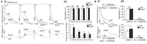 Enhanced Platelet Dense Granule Secretion In Response To U46619 Upon Download Scientific