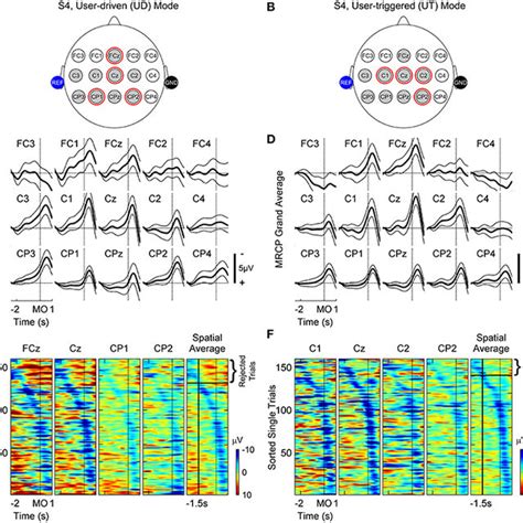 Movement Related Cortical Potentials Mrcps Observed For Subject S4 In Download Scientific