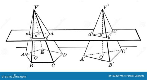 Pyramids With Pentagonal And Triangular Bases Vintage Illustration