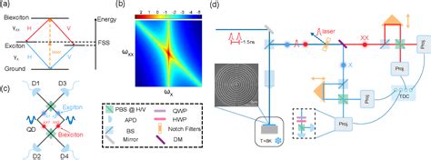 PDF Eliminating Temporal Correlation In Quantum Dot Entangled Photon Source By Quantum