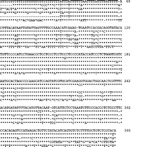 Multiple Sequence Alignment Of The Dna Segment Inserted In The 19th
