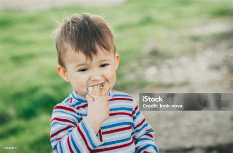 작은 귀여운 소년 먹는 아이스크림 3 년 매우 식욕을 돋 우는 자연 속에서 녹색 잔디 가정 주방에 대한 스톡 사진 및 기타 이미지 가정 주방 가정의 방 건강한 생활