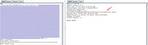 Php Fpm Rce的poc的理解剖析cve 2019 11043 Wonderkuns Blog