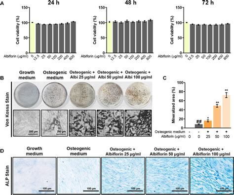 effect of albiflorin on an osteogenesis associated gene a the