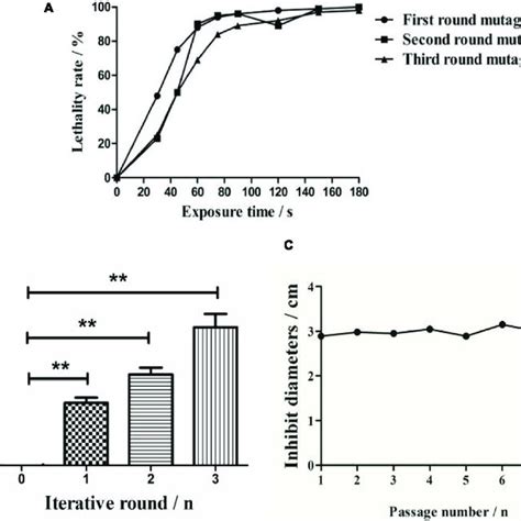Pdf Multi Omics Comparative Analysis Of Streptomyces Mutants Obtained By Iterative Atmosphere