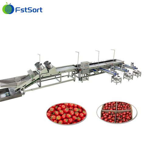 Fstsort Cherry Tomato Grader Lychee Sorter Date Sorting Machine Fruit