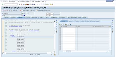 sap debugging techniques mastering functional debugging and abap