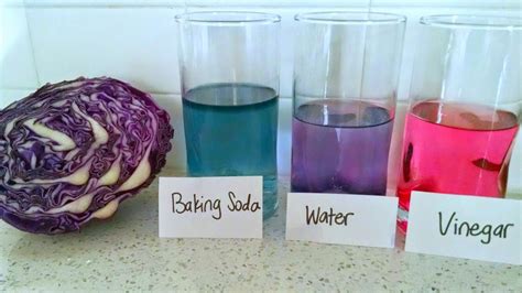 Make Your Own Ph Indicator Using Red Cabbage Artofit