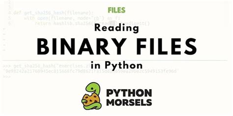 Hướng dẫn python binary files tệp nhị phân python