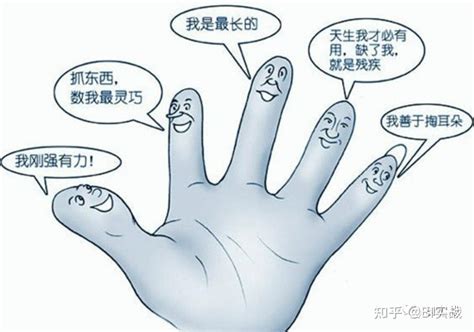 戏说def函数 知乎