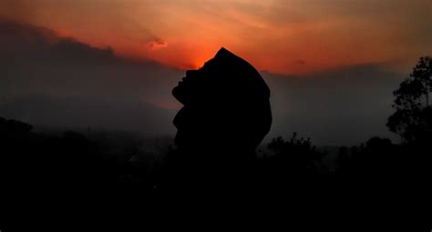 Book Author Articles And Speaker Shadow Chart Astrology