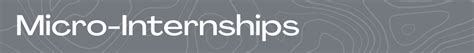 Micro Internships Utrgv