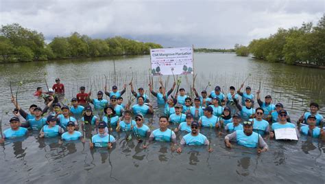 Mangrove Reforestation Project In Muara Gembong Bekasi Regency West