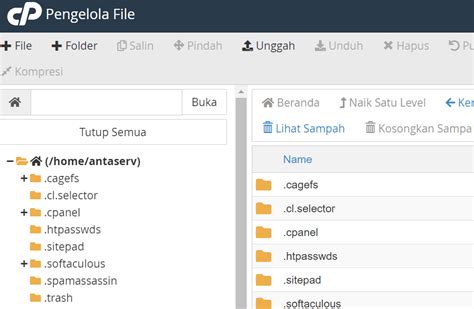 Pengelolaan File Manager Cpanel Antahost Blog