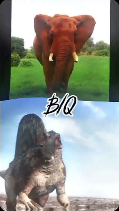 African Elephant Vs Spinosaurus Youtube