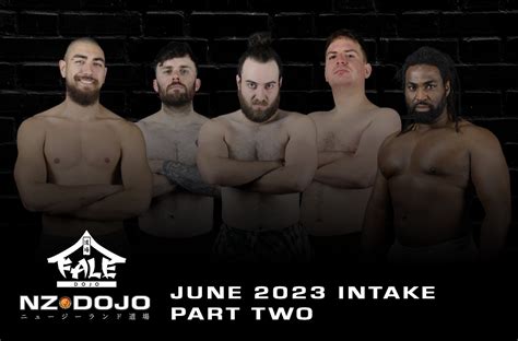 Nz Dojo 2023 June Intake Part Two Ite Lemalu Writings