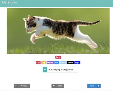 Tensorflow Vs Keras Building A Model For Image Classification