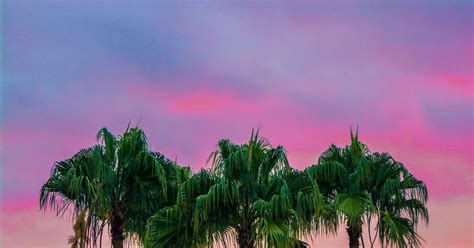 Data Quality Management Practices Overview