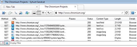 Syhunt Technical Specifications