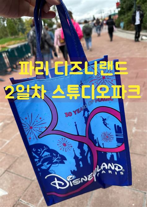 디즈니랜드파리 30주년 후기 3 디즈니파리 스튜디오파크 라따뚜이 스파이더맨 어벤져스어셈블 뮤지컬겨울왕국 미키매직쇼 라따뚜이 레미레스토랑 기념품