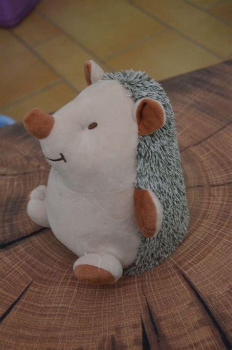 Igel Cm 23 Gebraucht In Chiasso Für Chf 8 Mit Lieferung Auf