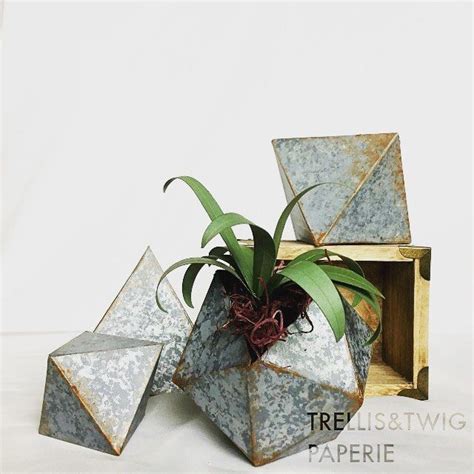 Decahedron Planter Made From Paper