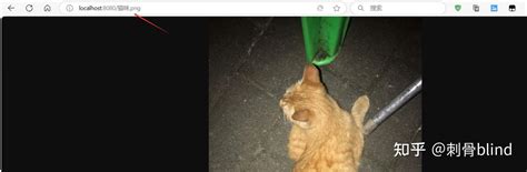 SpringBoot Mybatis vue开发技术栈支持五进阶 知乎