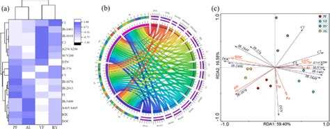 Hierarchical Cluster Heat Map A Left And Circos Map B Middle Of