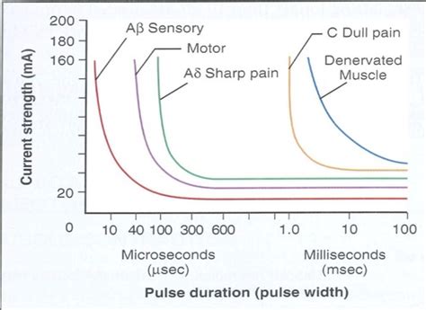 Cs Iv Exam Ii Neuromuscular Electrical Stimulation Nmes Flashcards