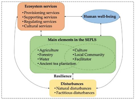 Conceptual Model Of Linkages Between Ecosystem Services And Resilience Download Scientific