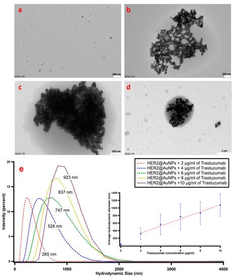 Nanomaterials Special Issue Surface Modification And Functionalization Of Nanoparticles