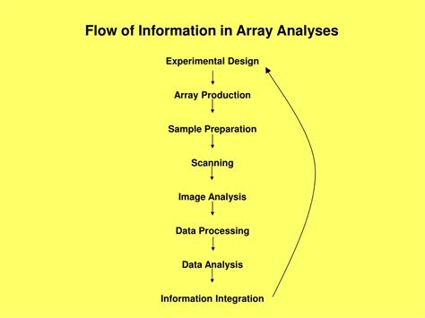 Ppt Microarray Design And Analysis Powerpoint Presentation Free