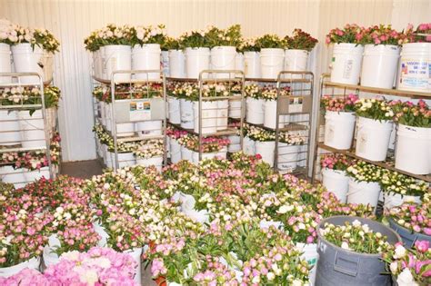 鲜花花店室内置物架装修效果图片效果图