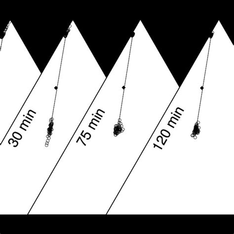 Calculated Phase Diagram For The Mgo Sio 2 System Measured Download High Resolution