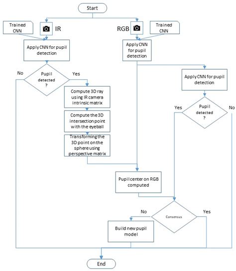 Sensors Free Full Text 3d Gaze Estimation Using Rgb Ir Cameras