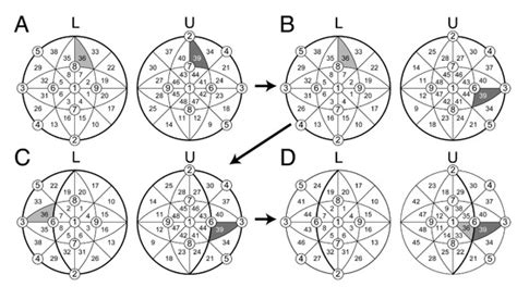 Algorithms Special Issue Combinatorial Designs Theory And Applications