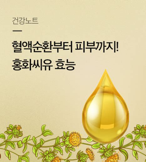 현명하고 똑똑한 기름 섭취법 홍화씨유 효능 안국건강