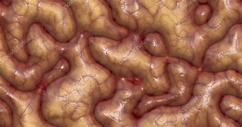Seamless Texture Of Brain Tissue Illustration Organic Surface — Stock