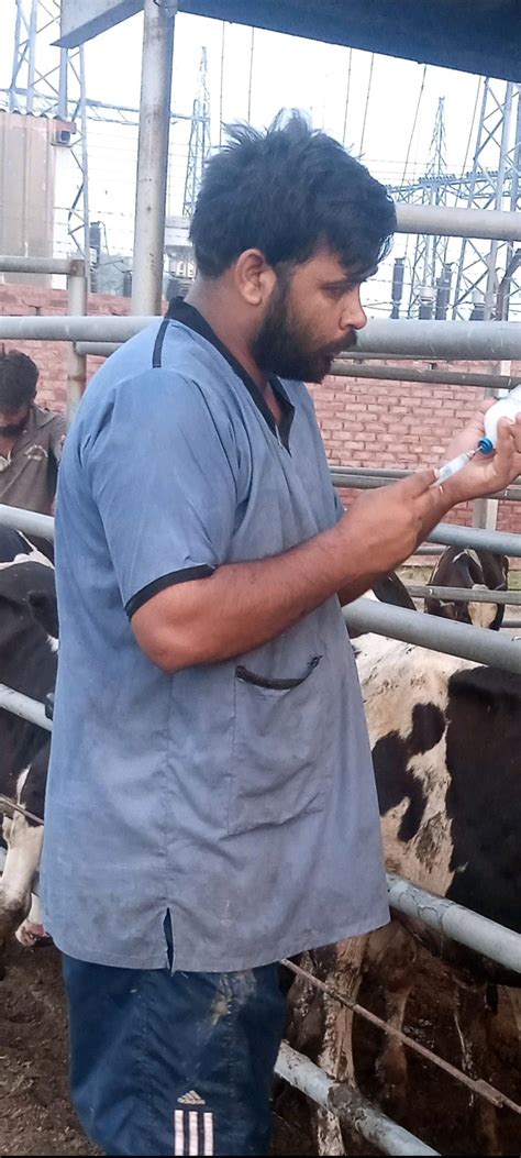 Muhammad Saqlain On Linkedin Vaccination At Young Stock