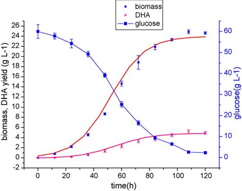 Test The Model With Another Experimental Data Points And Simulation